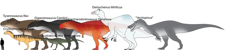 Largest Theropods of each continent | Fandom