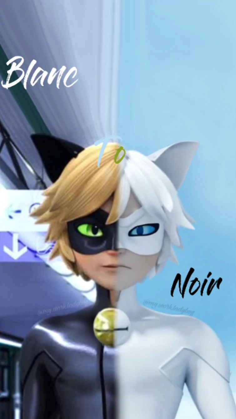 Chat Noir and Chat Blanc | Fandom