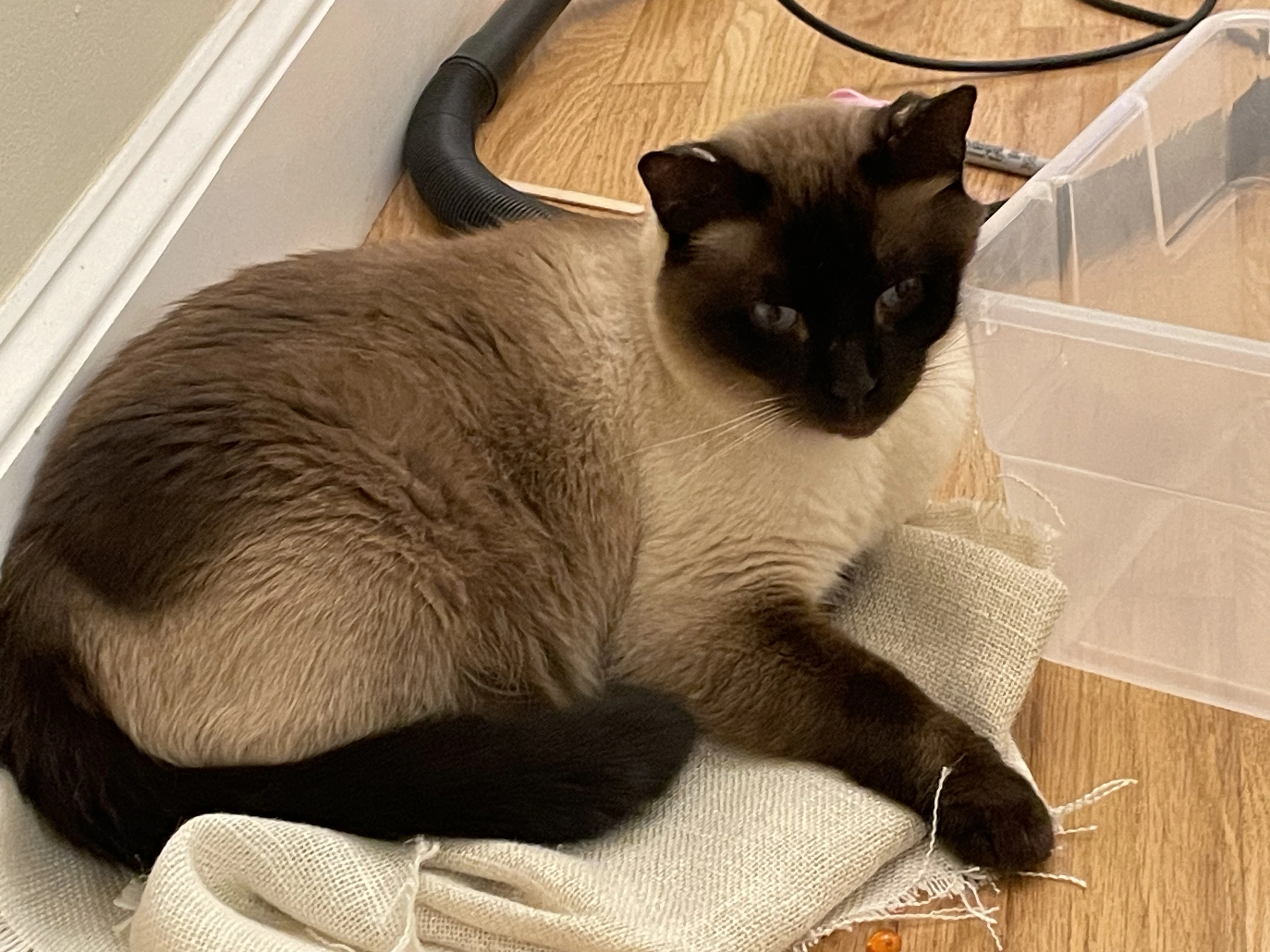 Trading/selling/buying some stuff | Fandom