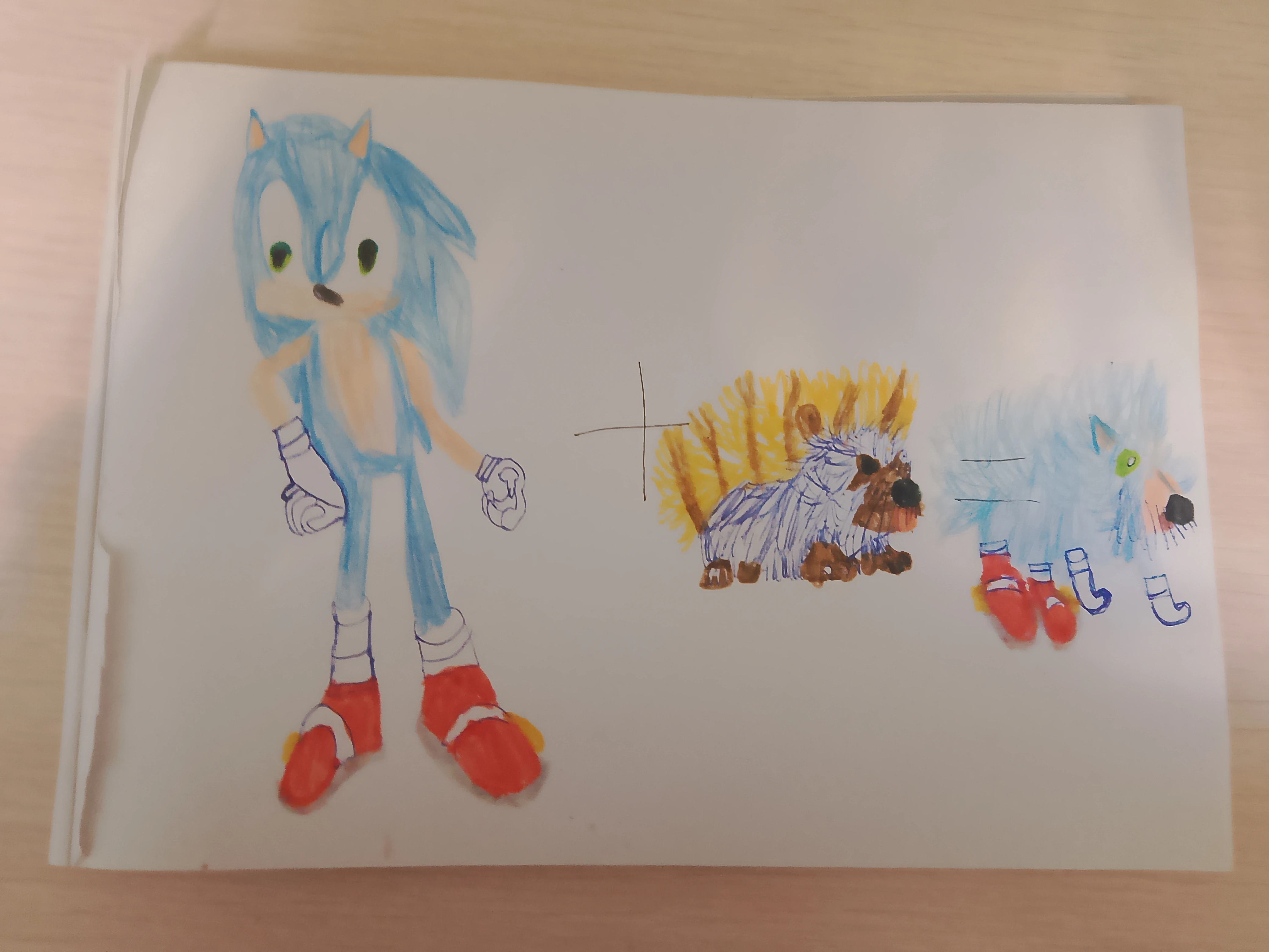 Sonic + real hedgehog = | Fandom