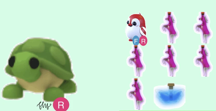 Lf turtles | Fandom
