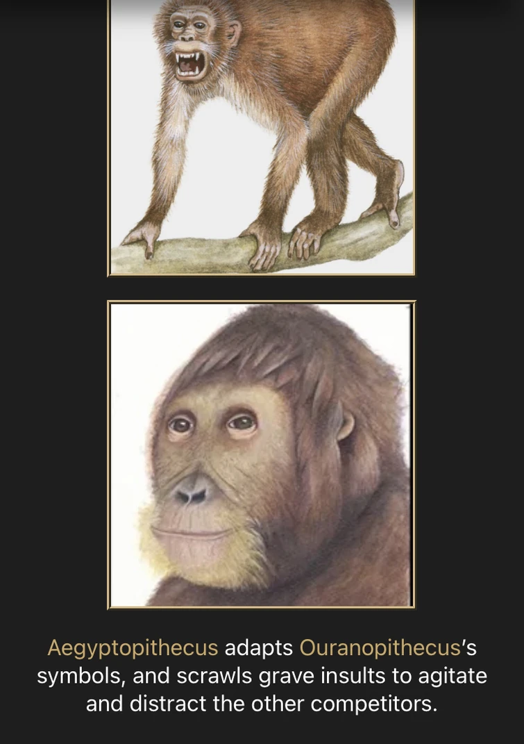 Discuss Everything About Dinopedia | Fandom