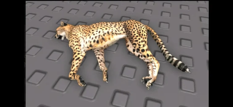 Discuss Everything About ROBLOX Wild Savannah wiki | Fandom