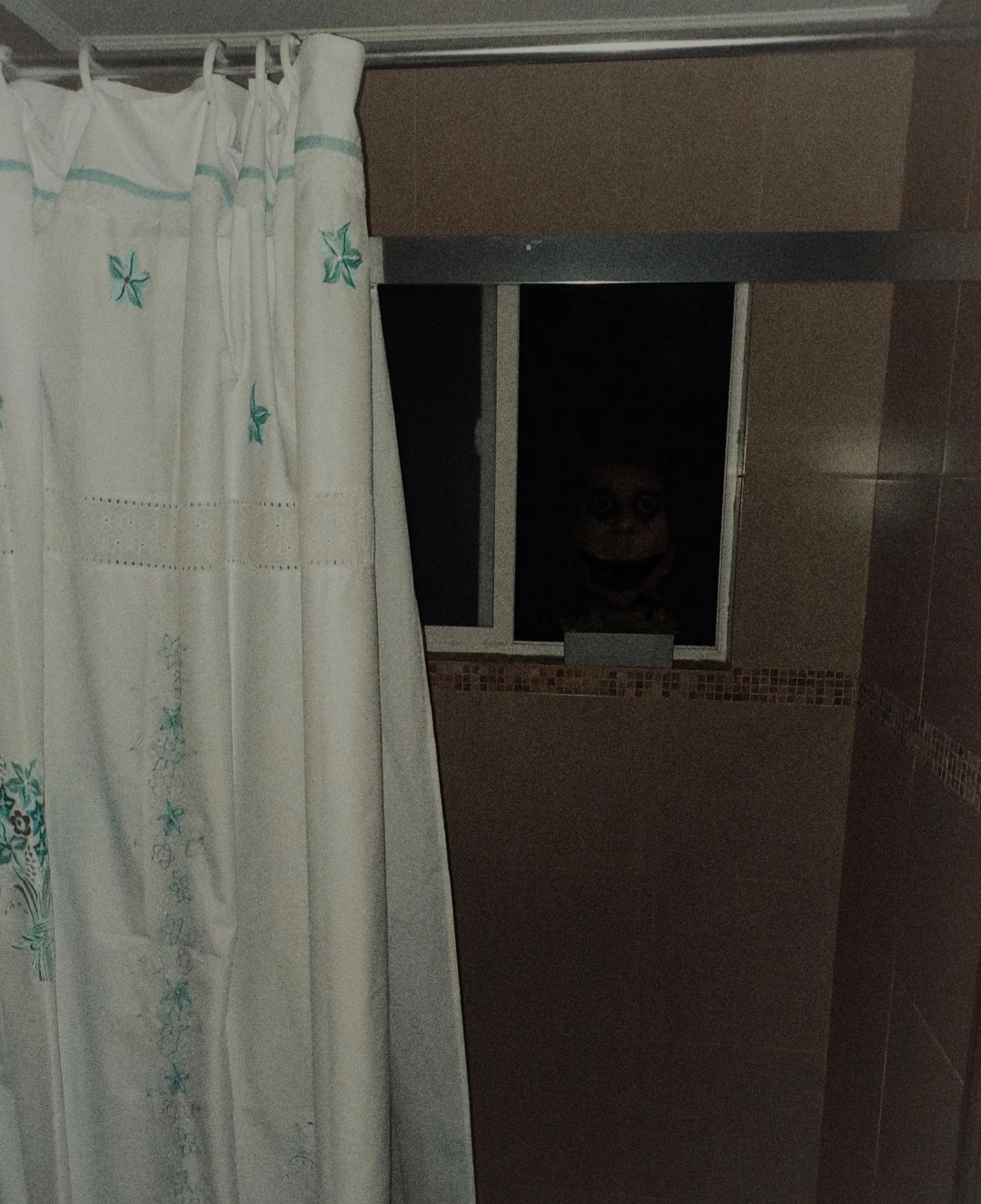 The bathroom watcher. | Fandom