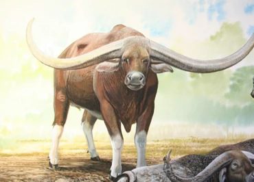 Which Strange Creature is your Favorite? (Play-In to the Play-In ...