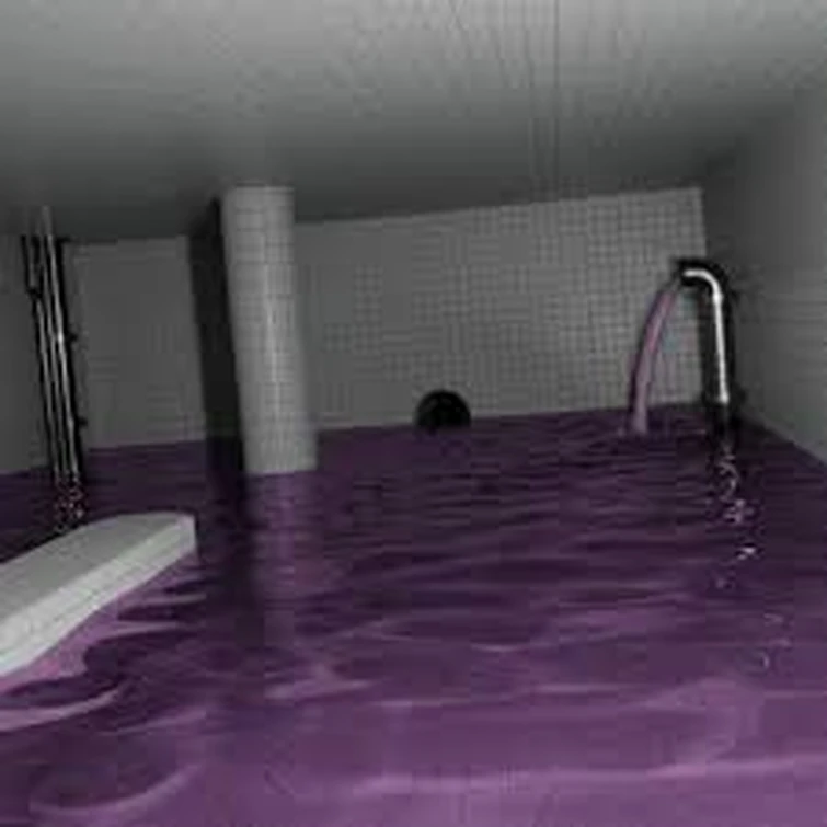 Does anybody remember this sublevel of the poolrooms? | Fandom