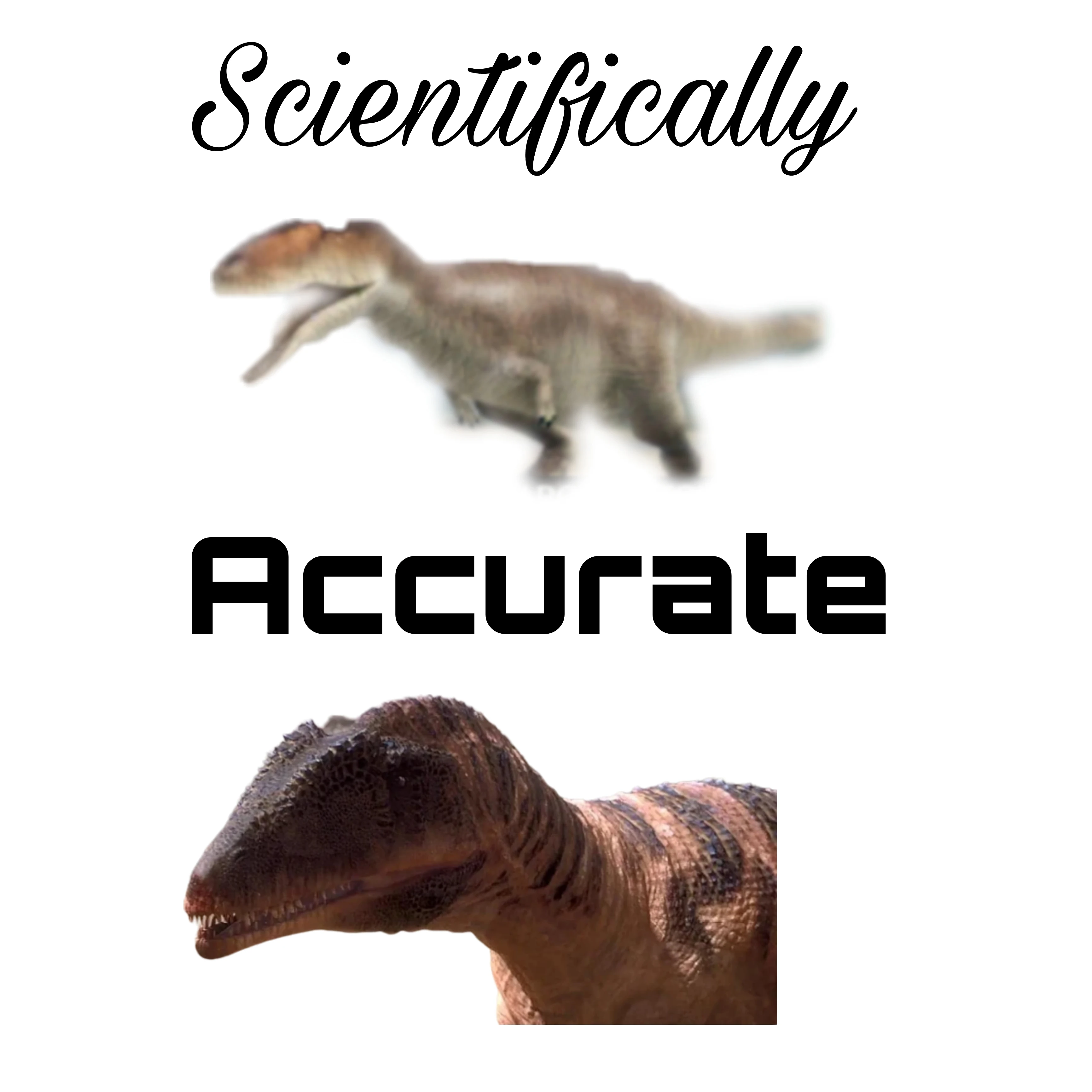 Dwm Carchar remodel to a real carchar | Fandom