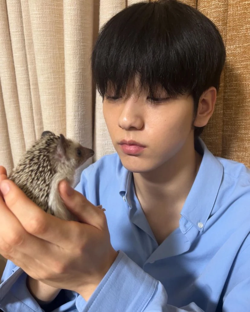 Daily TXT #9! | Fandom