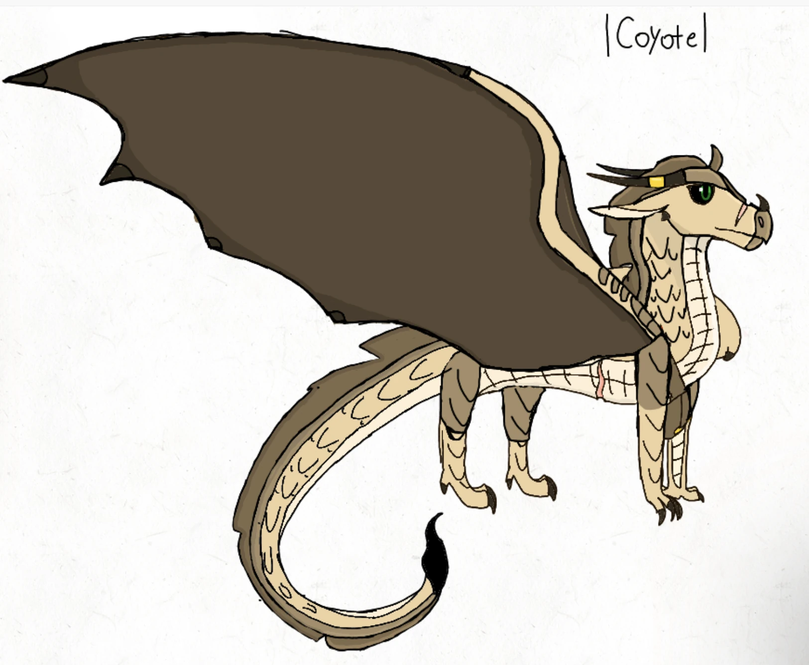 Anyone have a backstory for my oc Coyote? She’s from the scorpion den ...