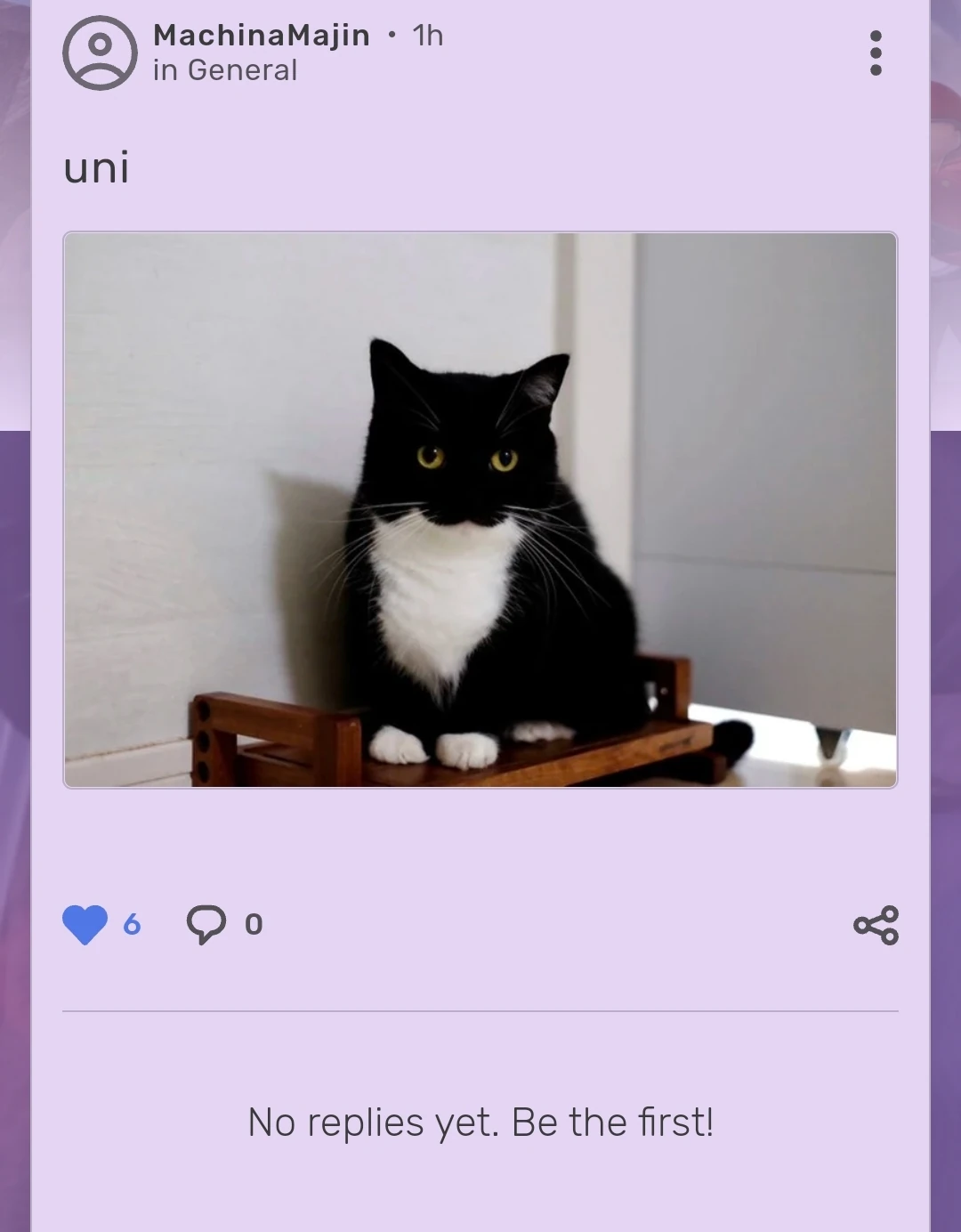 Best wiki post in months | Fandom