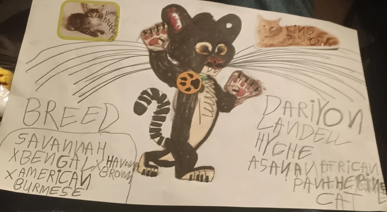 Discuss Everything About NatureRules1 Wiki | Fandom