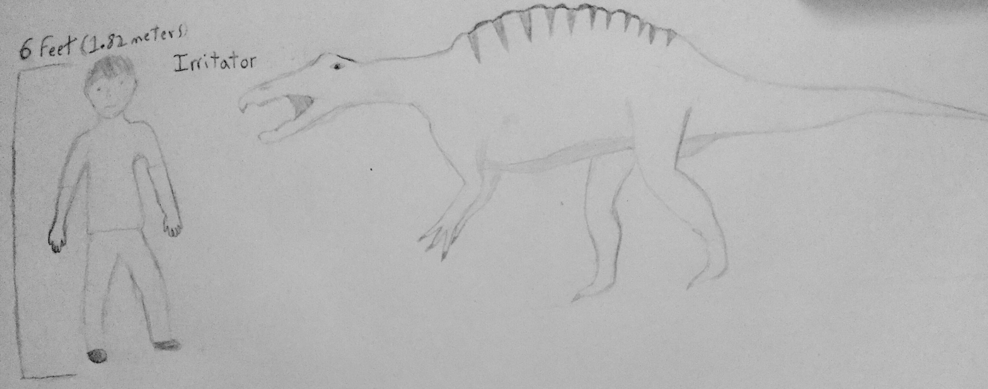 Irritator drawing | Fandom