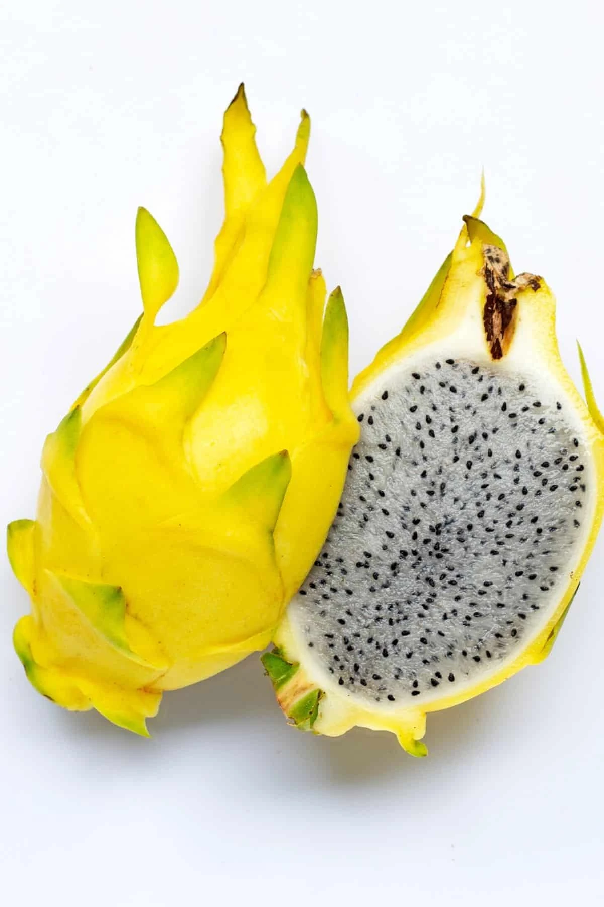dractus is based of dragonfruit | Fandom