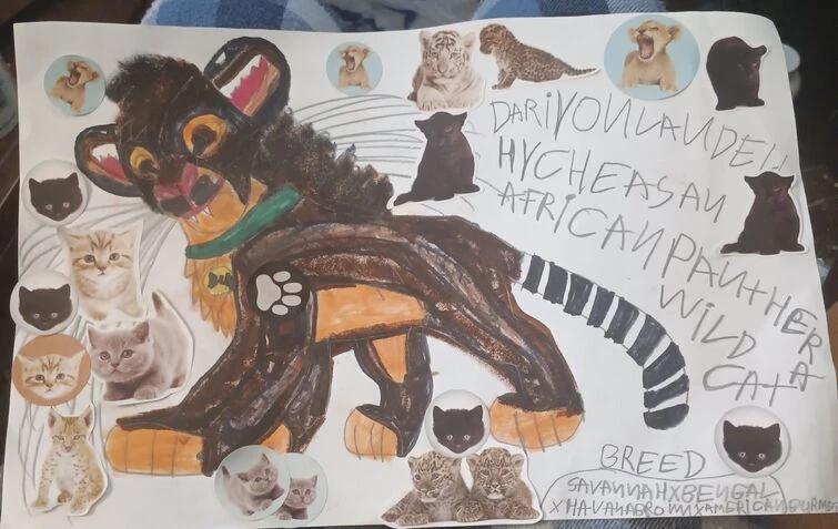 Discuss Everything About NatureRules1 Wiki | Fandom