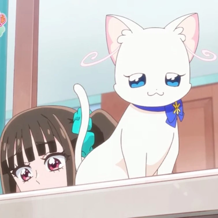 Wonderful PreCure has a cat Precure. So, I explain about Waneko ...