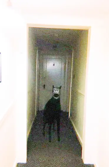 which is more creepy | Fandom