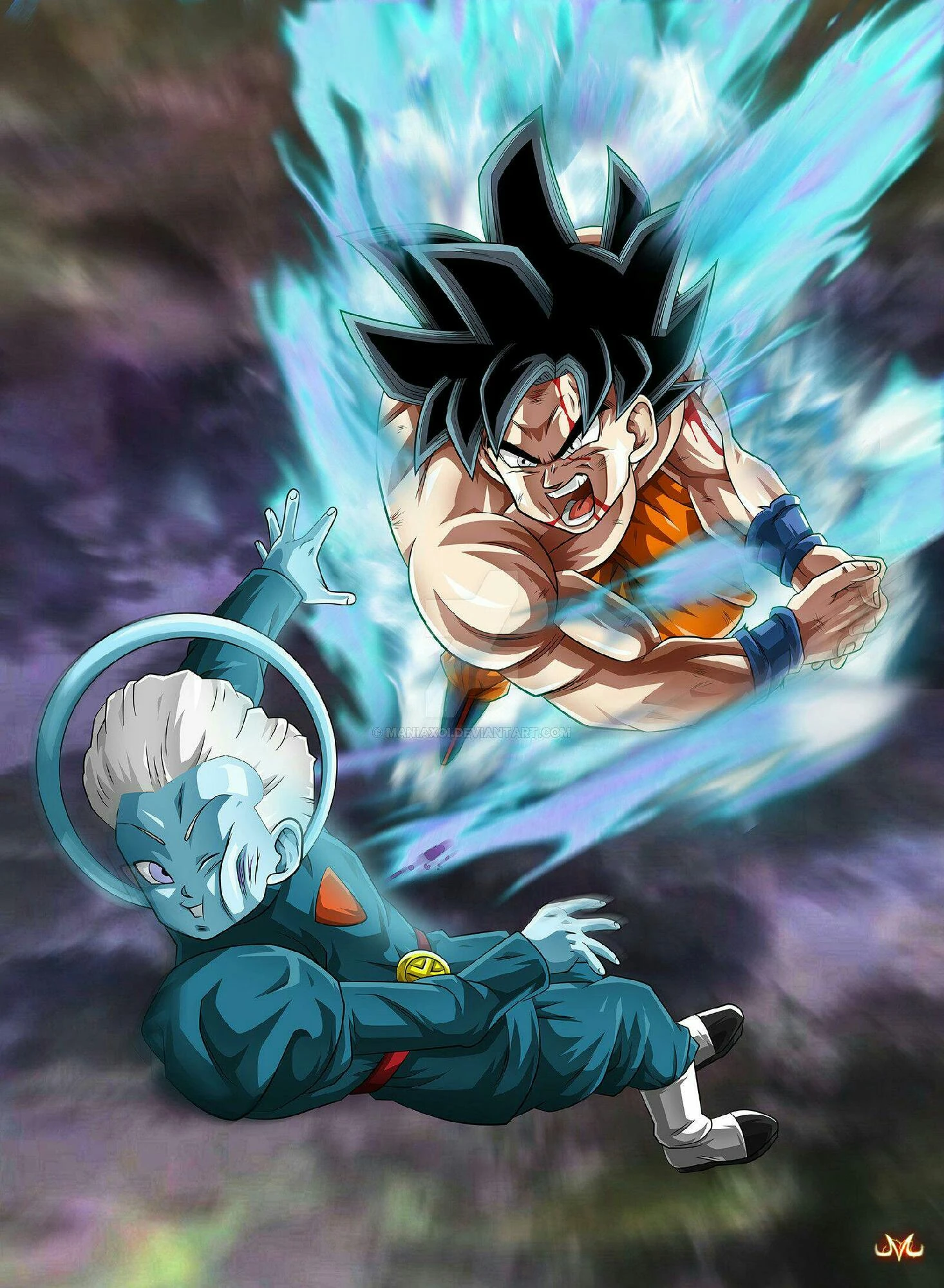 What if ultra insict goku hits Grand priest | Fandom