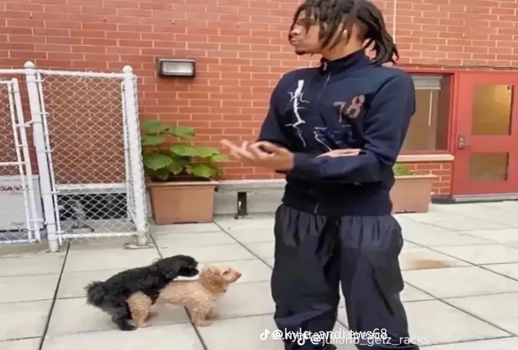 me when missed the raid ;-; | Fandom