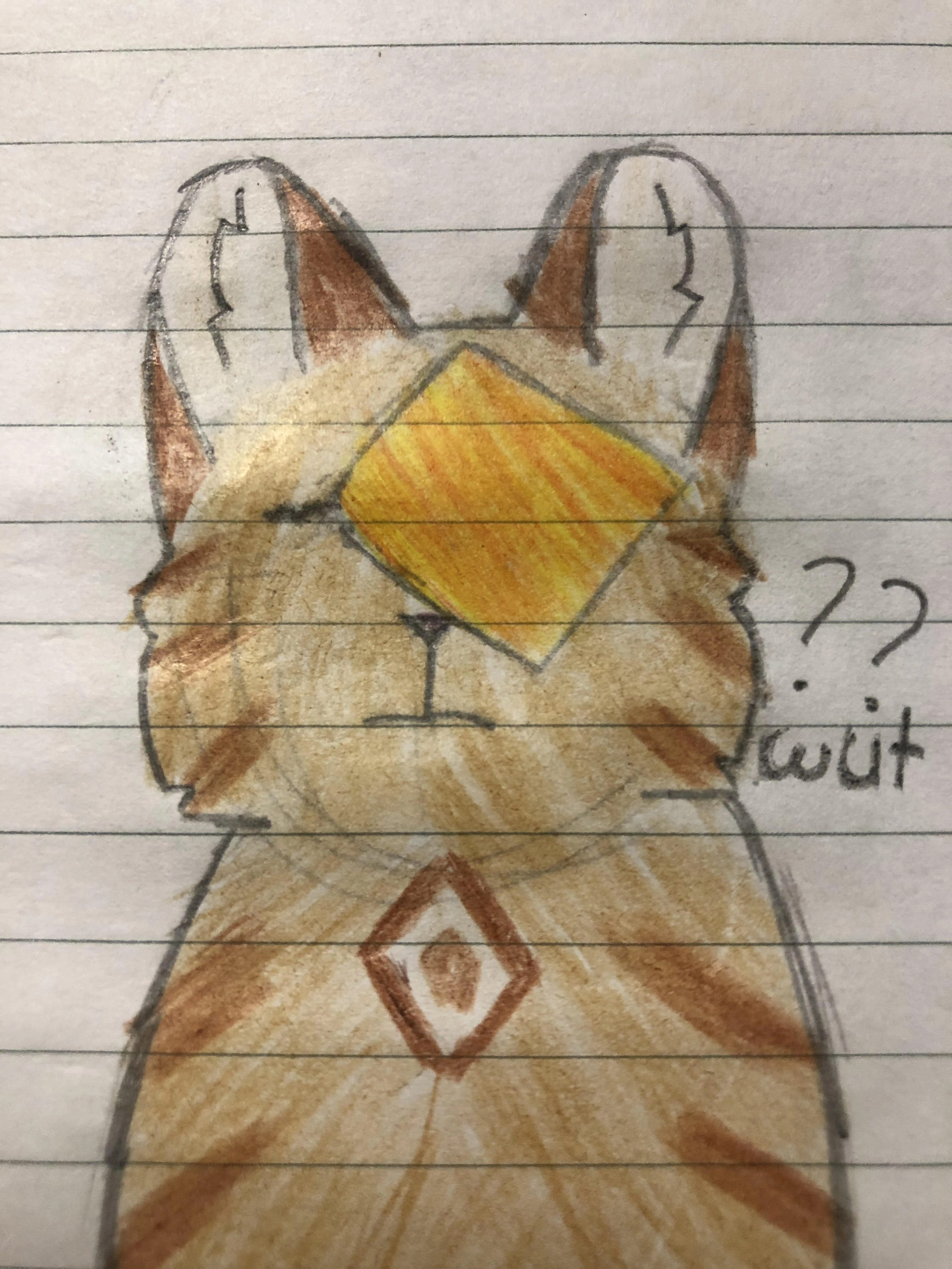 cheese cat | Fandom