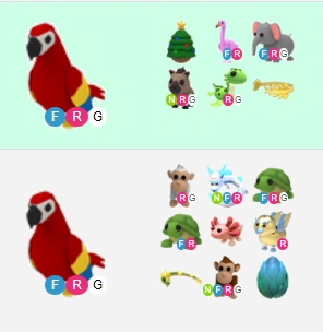 Should I do either for my FR Parrot? | Fandom