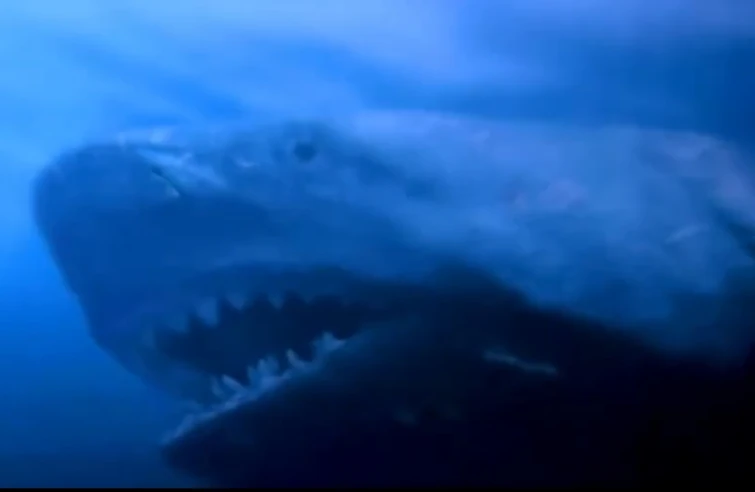 How big is this Megalodon? | Fandom