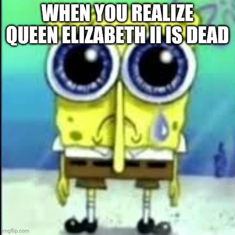 Daily Spongebob Meme 11 Fandom