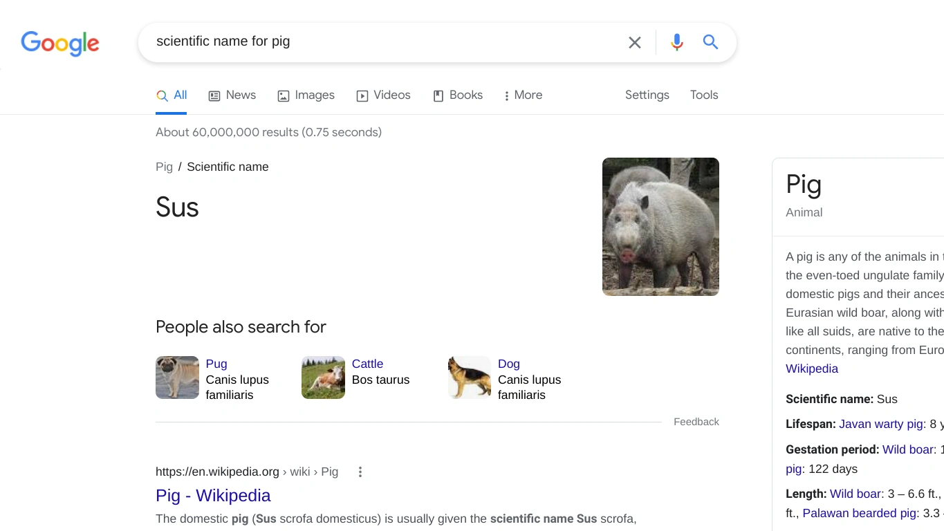 when pigs are sus | Fandom