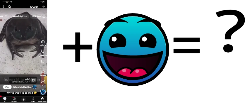 frog ? | Fandom
