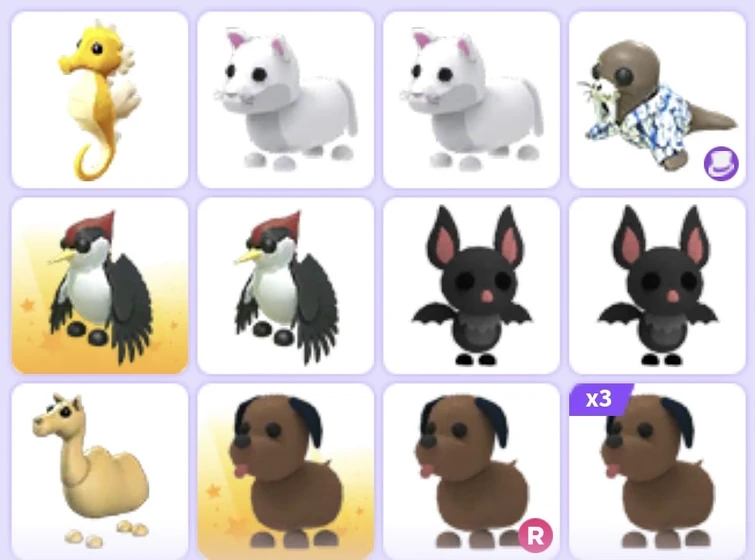 Discuss Everything About Adopt Me! Wiki | Fandom