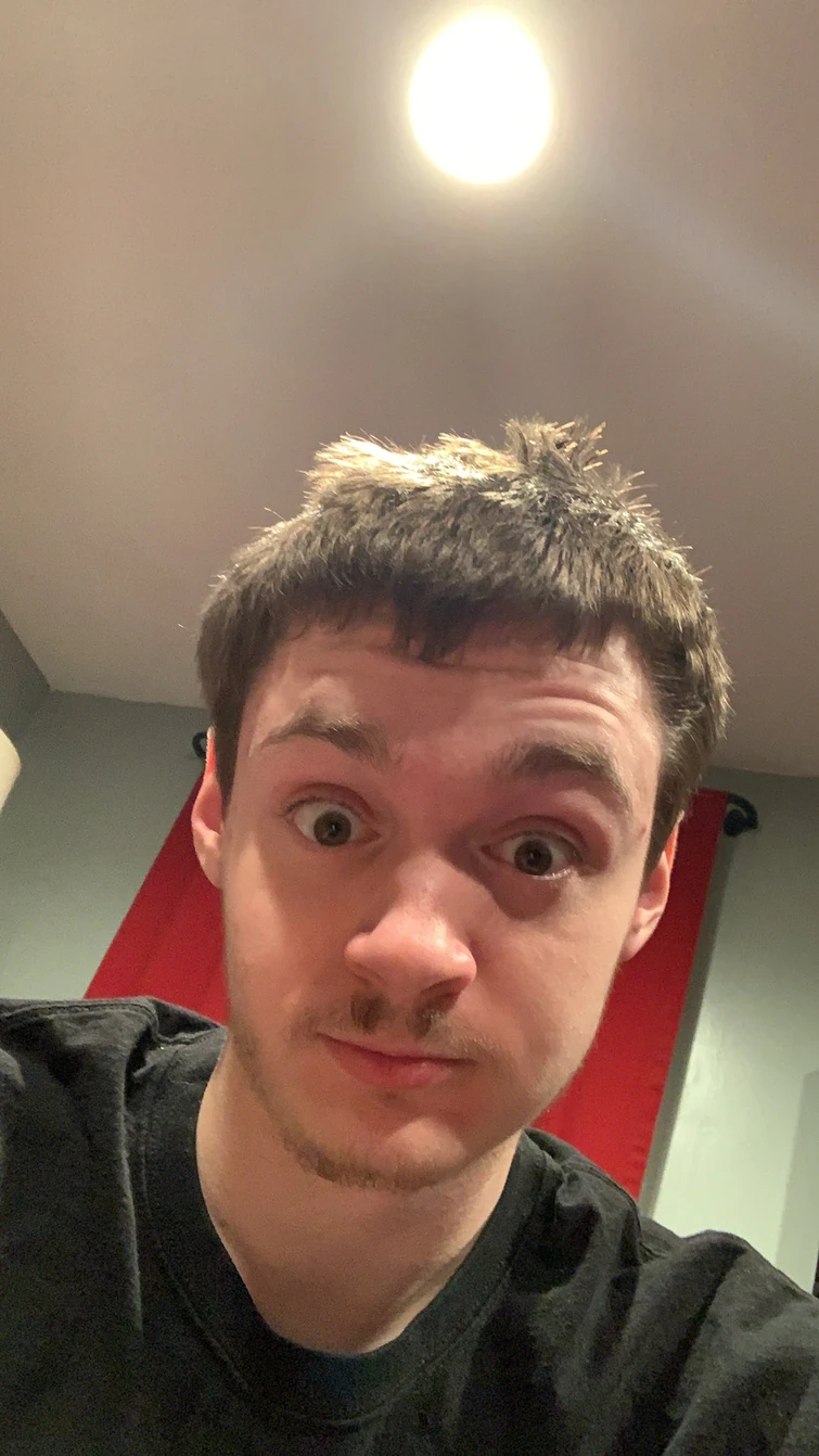 Discuss Everything About Minitubia | Fandom