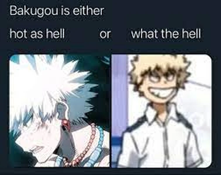 Mha Memes | Fandom