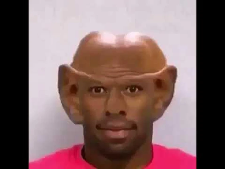 Random Tyler, the Creator memes | Fandom