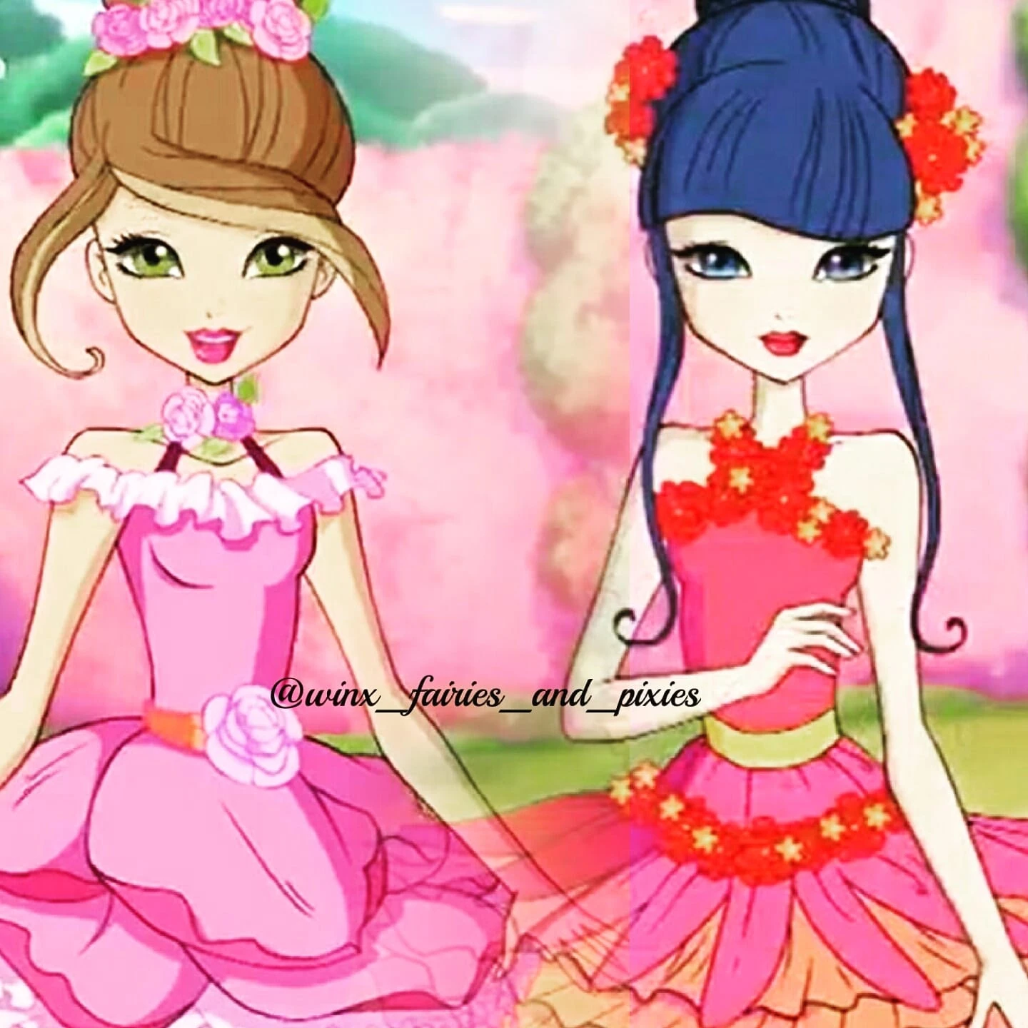 FLORA & MUSA in Ballet Dress | Fandom
