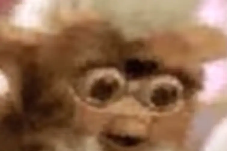 Collection of shocked Furbys | Fandom