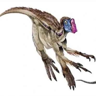 Discuss Everything About Dinopedia | Fandom