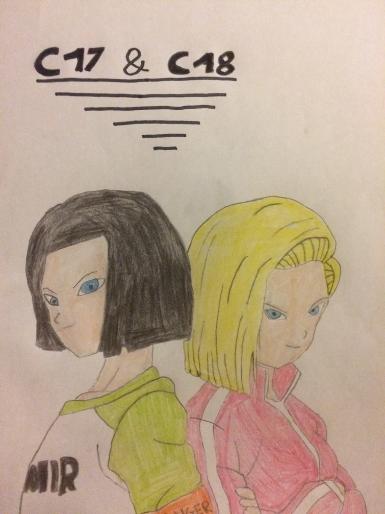 C17 & C18 ️ ? | Fandom