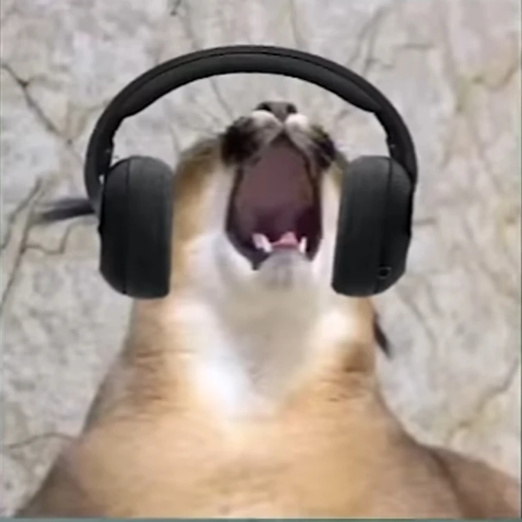 brainrot copypasta feel free to use | Fandom