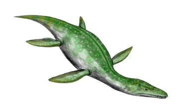 Discuss Everything About Dinopedia | Fandom