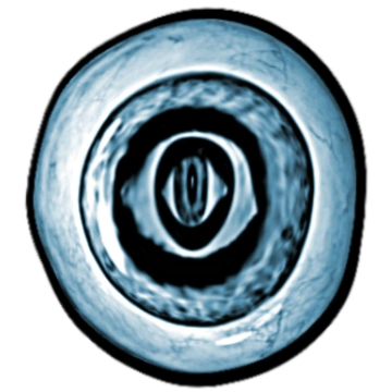 P-5 Finalized | Fandom