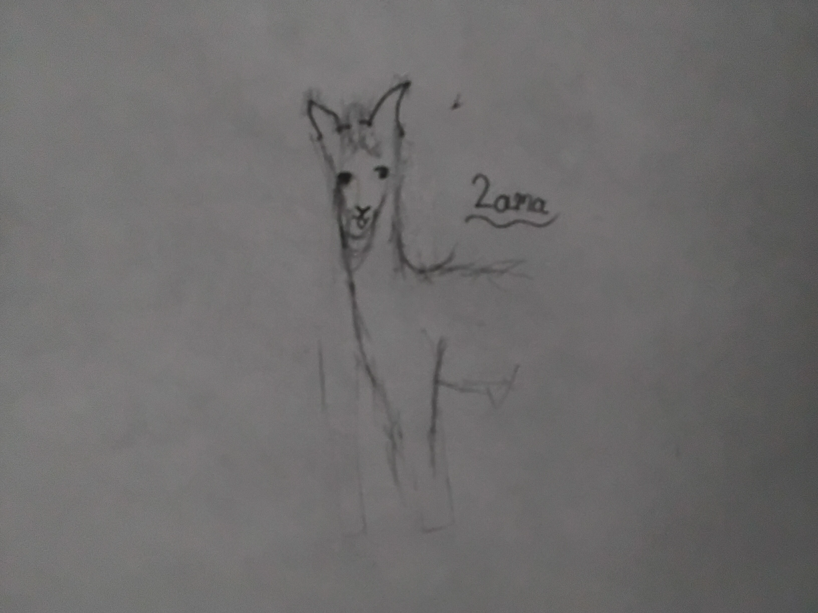 Failed lama.. | Fandom