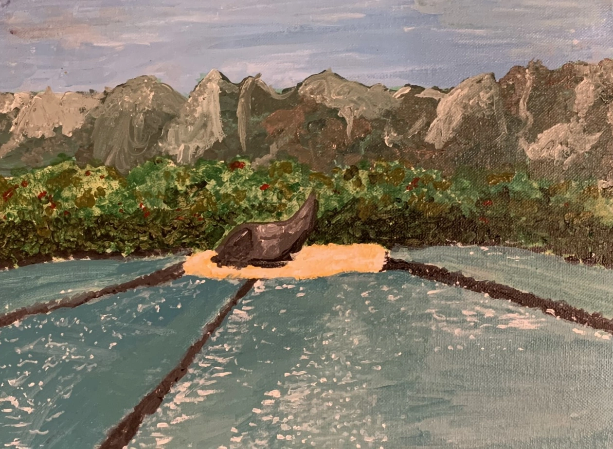 Arena Painting | Fandom