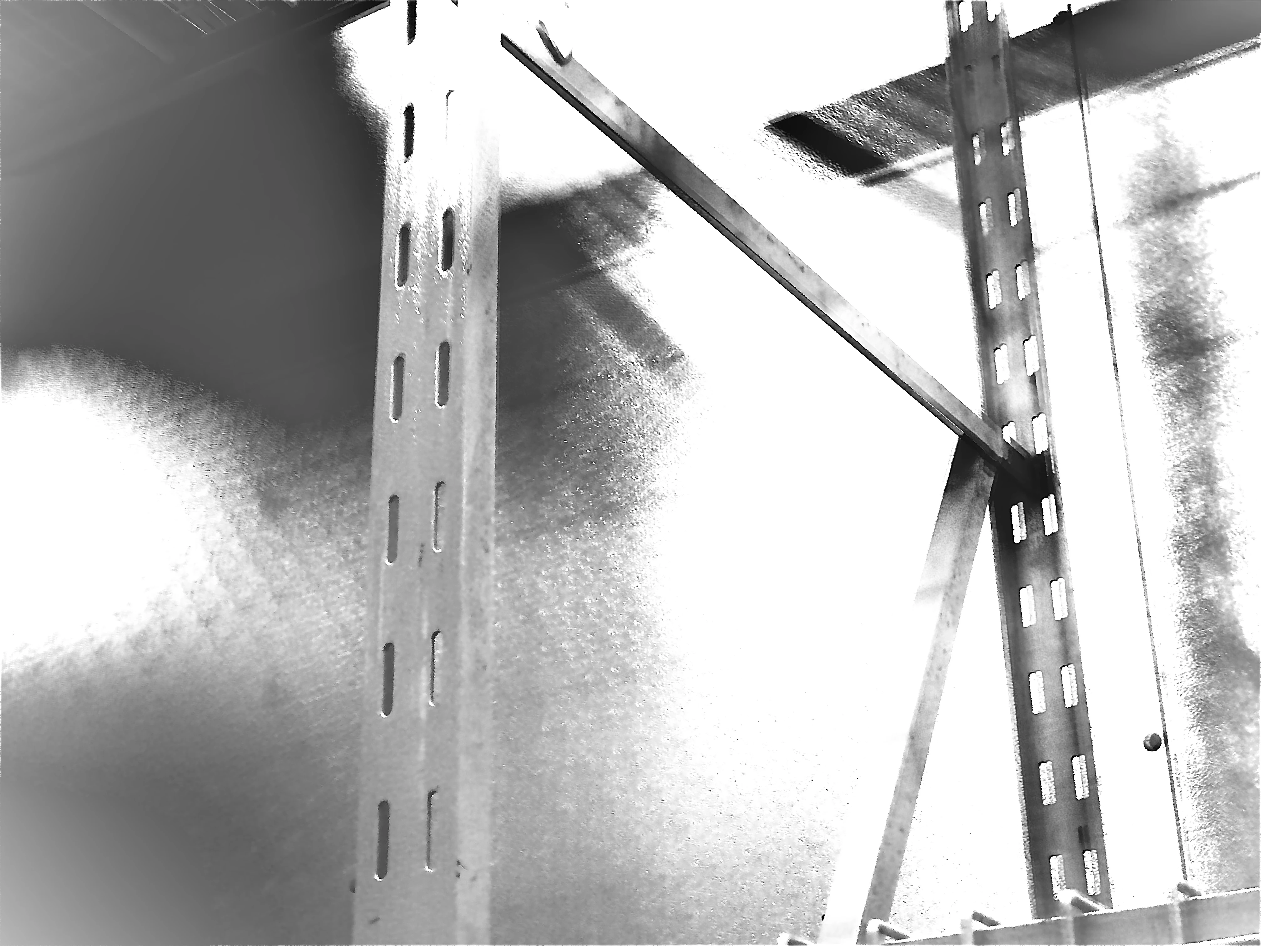 photographph | Fandom