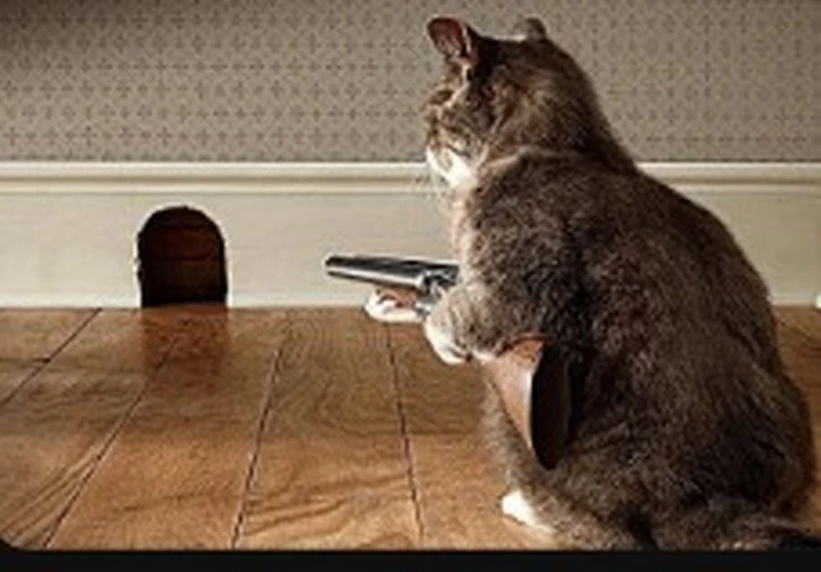 unrelated but just a reminder to show how violent cats can be | Fandom