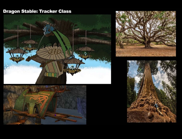 Things SoD was planing to add | Fandom