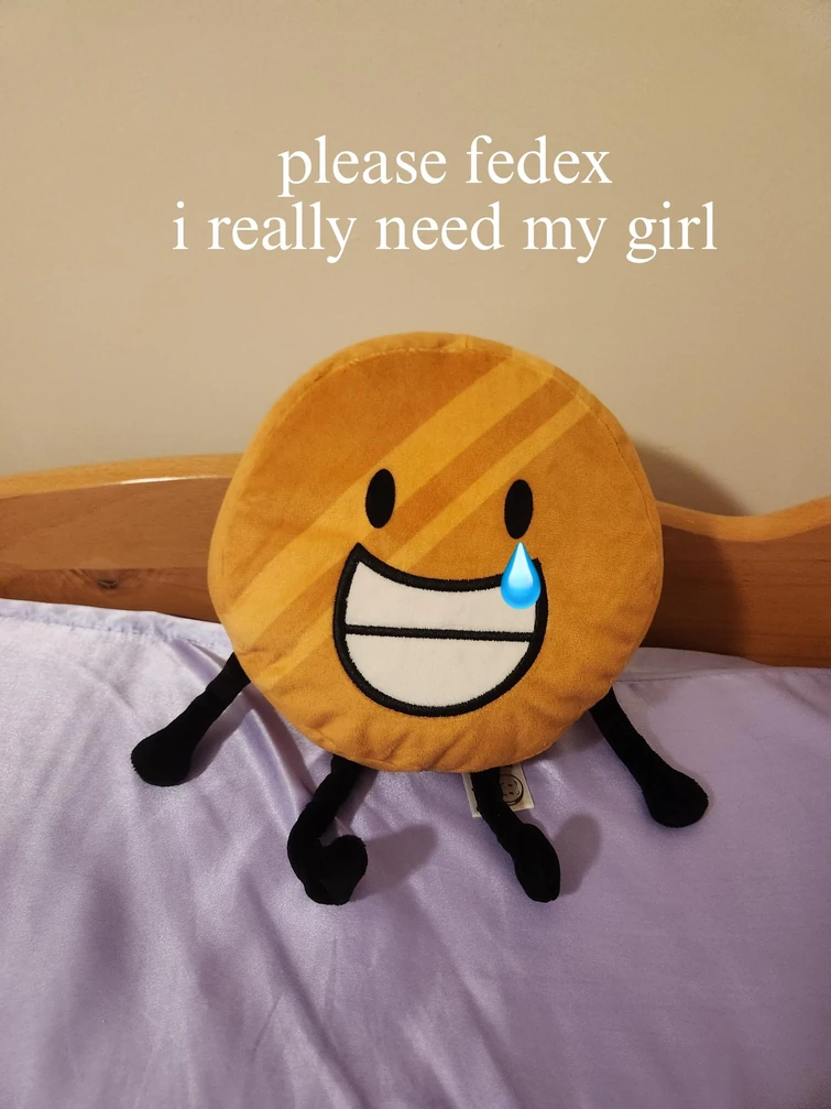 Day 3 of waiting for Pin plush | Fandom