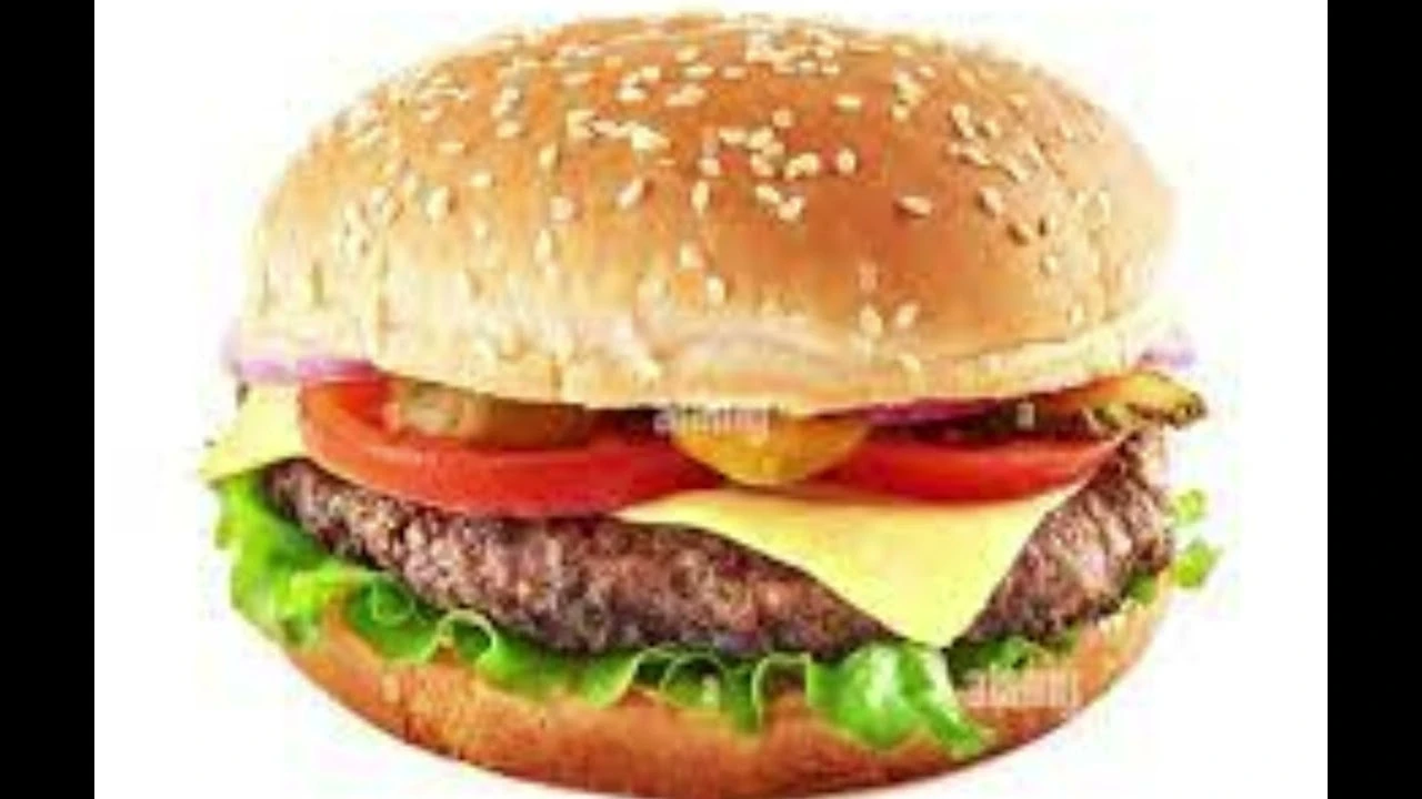 the burger song | Fandom