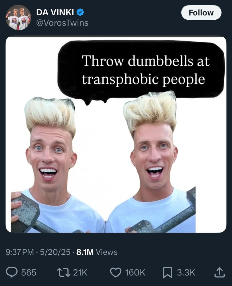 Shoutout to the Da Vinki twins | Fandom