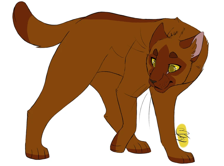 The new cats in Fire and Ice (and ones that changed ranks) | Fandom