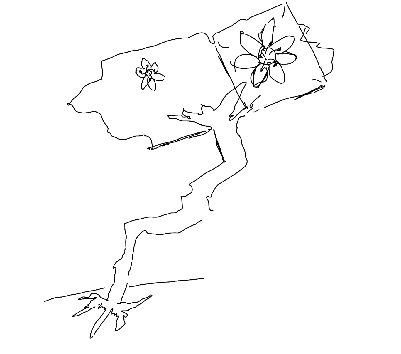 Moon Blossom but (Not so) Realistic | Fandom