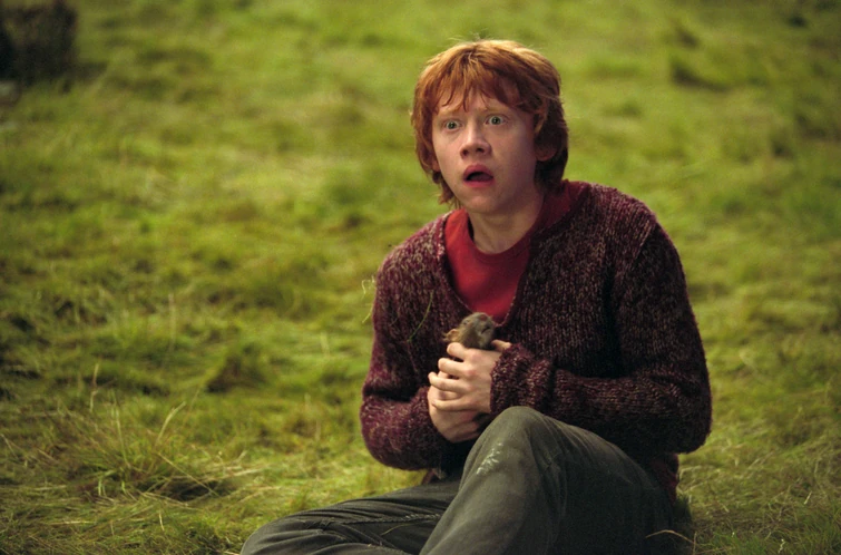 Happy Birthday Ron Weasley! | Fandom